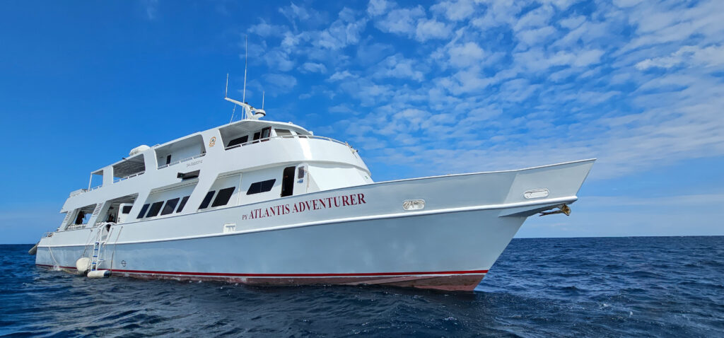 Home - Atlantis Dive Resorts and Liveaboard Philippines